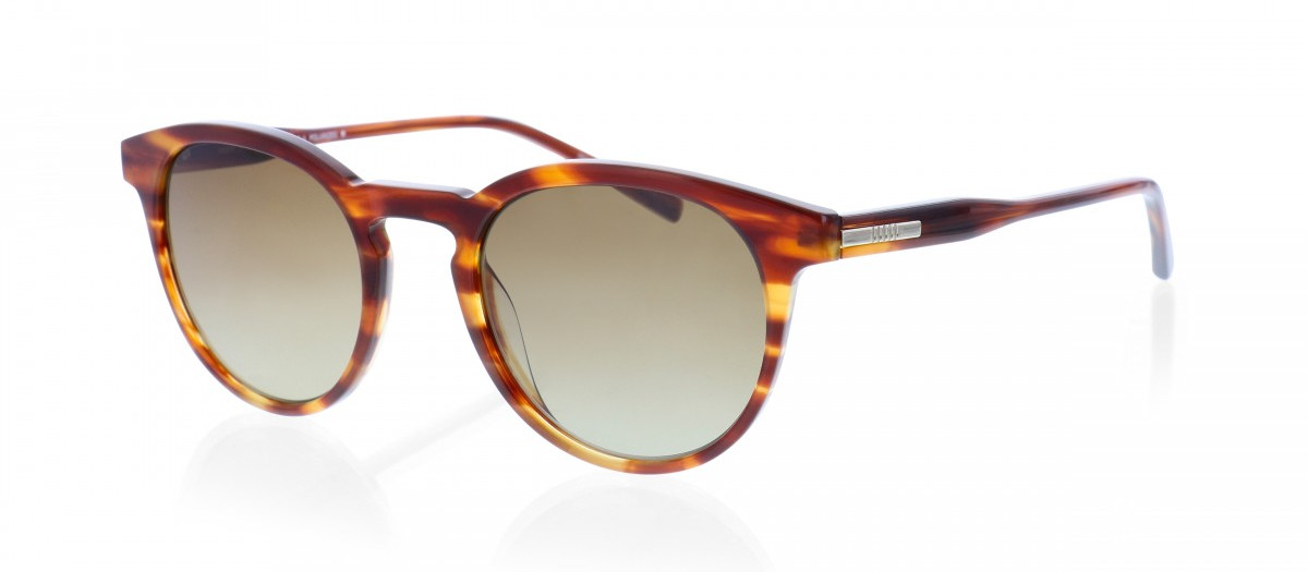 Morel Australasia | Optical Wholesalers